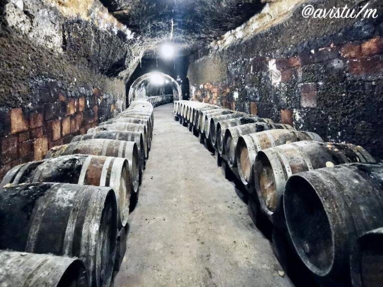 Qué ver en el Monasterio de San Salvador de Cañas (La Rioja) - Viajablog